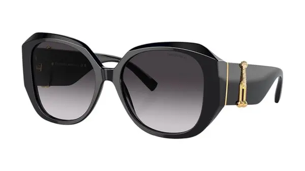 Tiffany & Co. 4207b 80113c Sunglasses