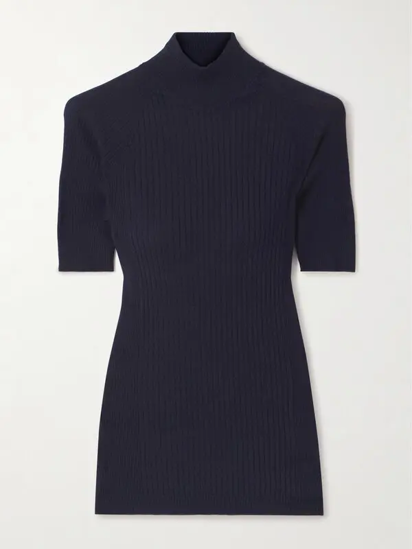 Sasuphi Ribbed-knit Cashmere And Silk-blend Sweater - Blue