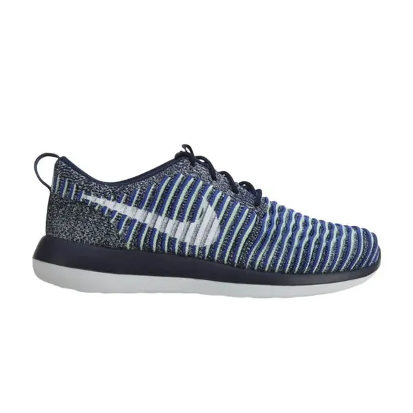 Nike Roshe Two Flyknit