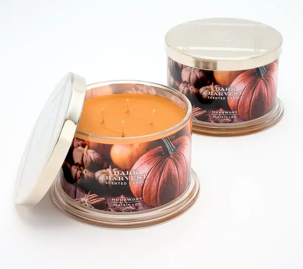 HOMEWORX BY SLATKIN + CO. S/2 18oz Candles Dark Harvest