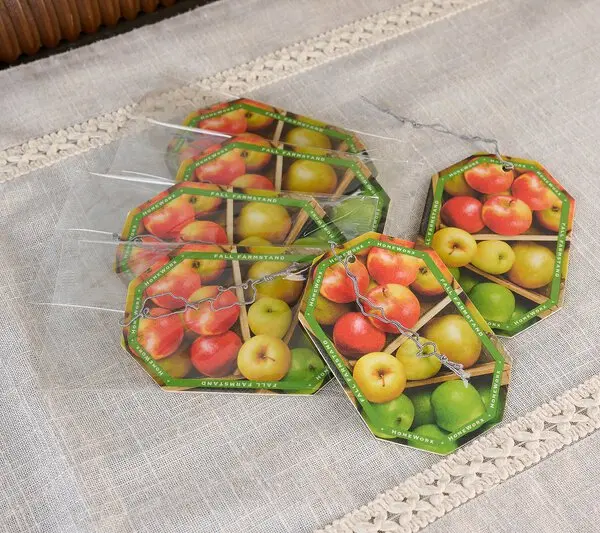 HOMEWORX BY SLATKIN + CO. S/6 Hanging Auto Air Freshners