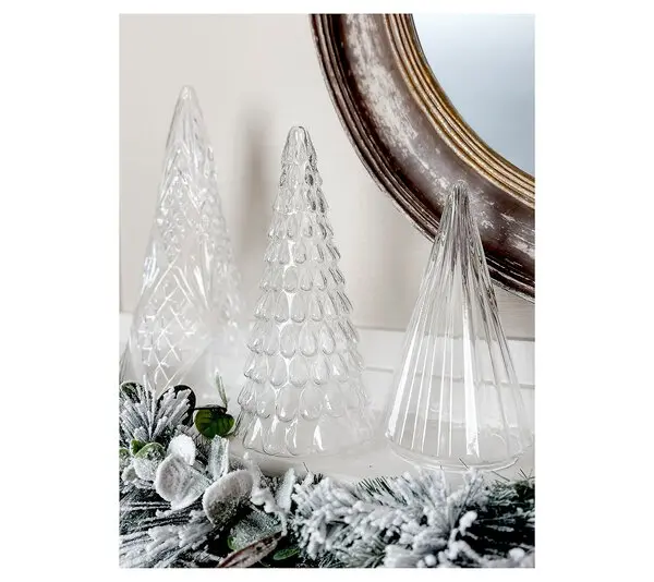 SIMPLY STUNNING BY JANINE GRAFF As Is Simply Stunning S/3 Clear Glass Tree Cloches Jani