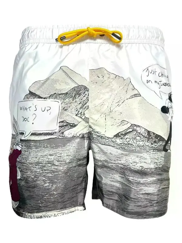 Iceberg Landscape Swim Shorts