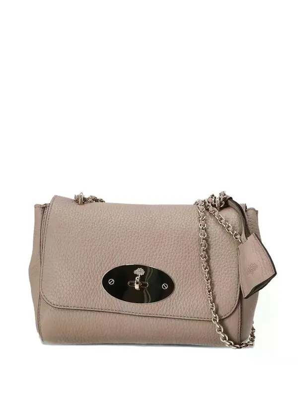 Mulberry Chain-strap Leather Satchel