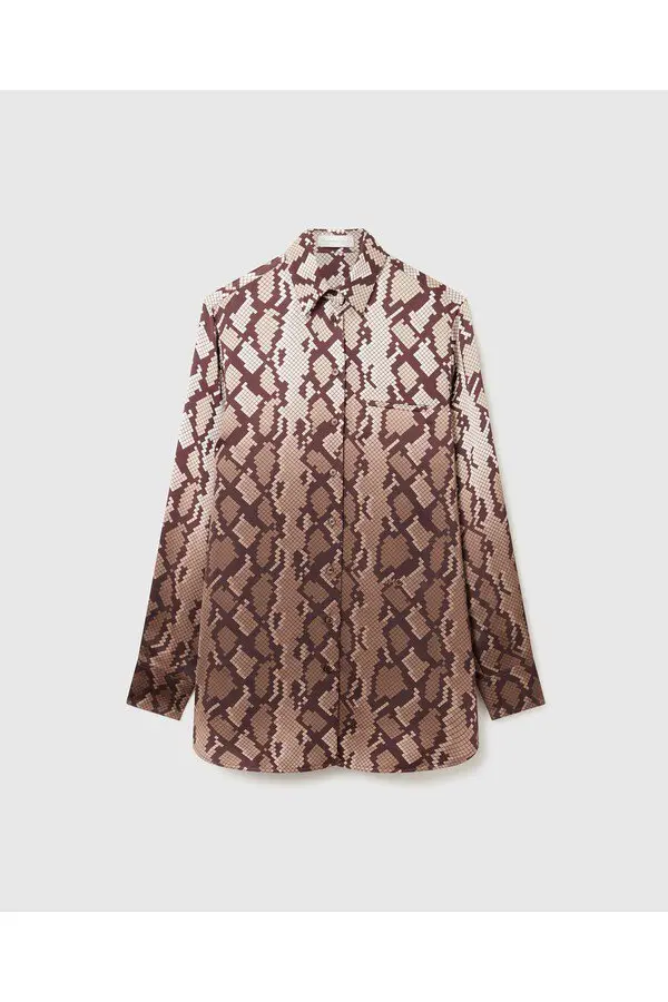 Stella McCartney Snake Print Oversized Shirt - Brown