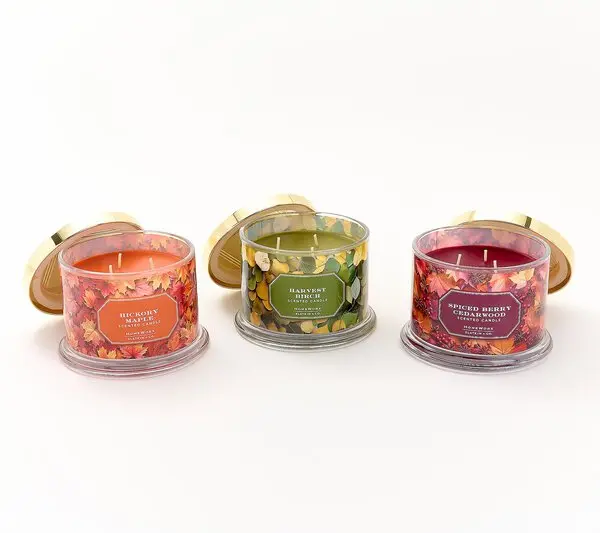 HOMEWORX BY SLATKIN + CO. As Is S/3 14oz Autumn Candles
