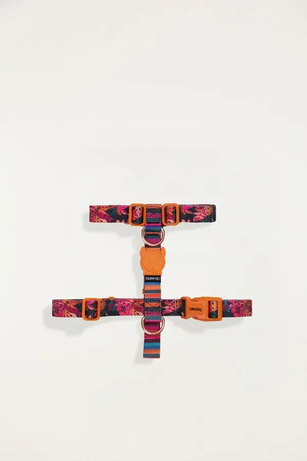 Farm Rio X Zee.dog H-harness