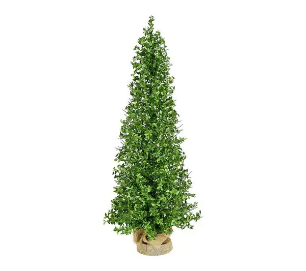 FRASER HILL FARM 3-ft. Boxwood Porch Tree In Bu Rlap Bag