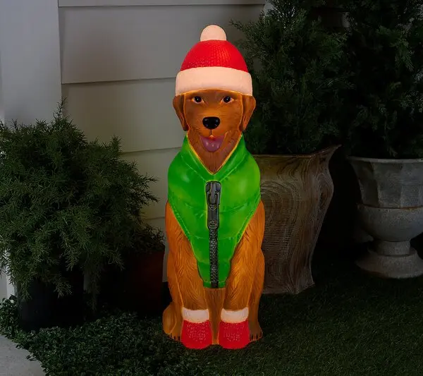 BETHLEHEM LIGHTS As Is 30' Illum Holidaydog With Vest