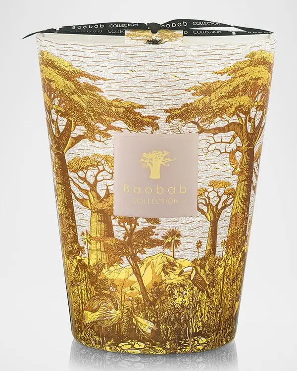BAOBAB COLLECTION Sacred Trees Bounkani 5-wick Max 24 Candle, 5.2 Kg