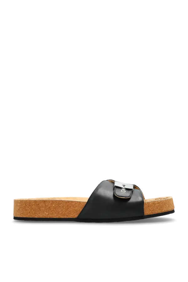 Balenciaga X Scholl Anatomical Slides