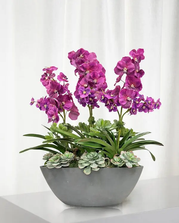 WINWARD HOME Vanda Orchid In Oval Planter, 30.5