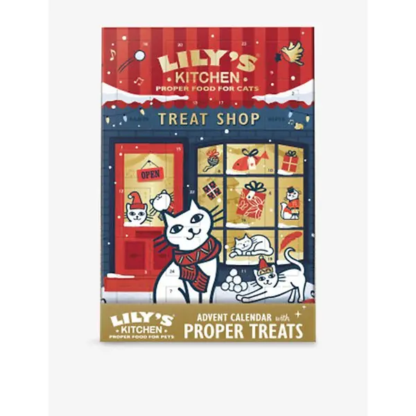 LILY'S KITCHEN Pet Cat Christmas Advent Calendar 25g
