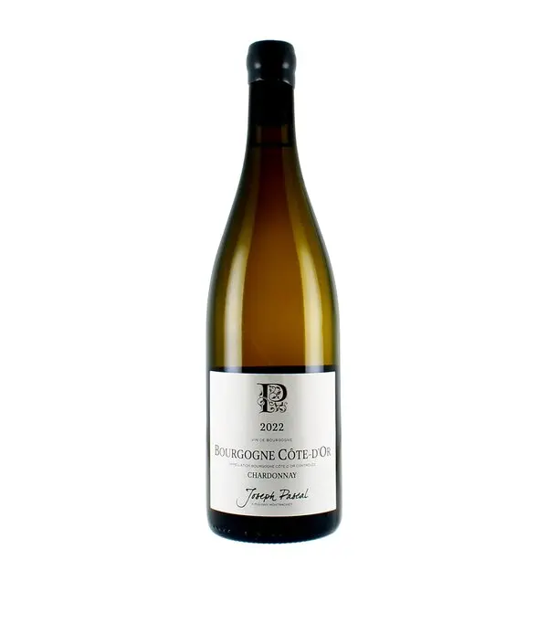 DOMAINE JEAN PASCAL Bourgogne Côte-d'or Chardonnay 2022 Burgundy, France