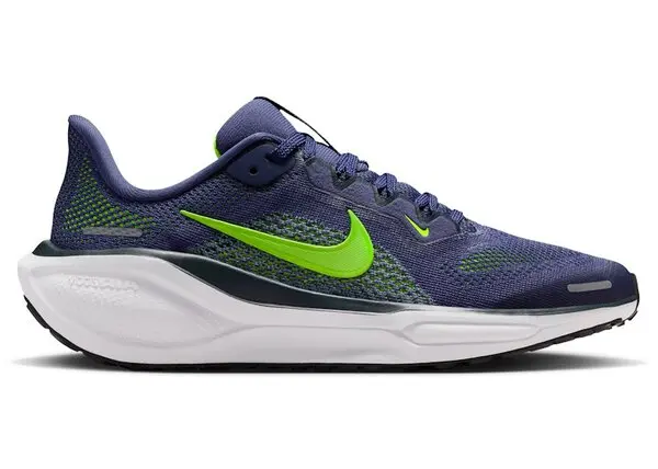 Nike Air Zoom Pegasus 41