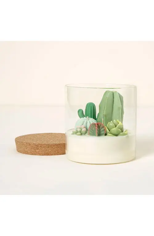 ZOET STUDIO Cactus Terrarium Candle