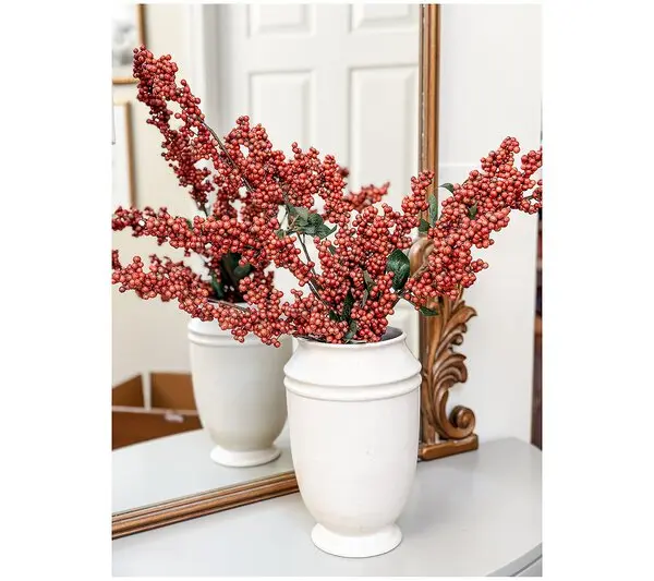 SIMPLY STUNNING BY JANINE GRAFF As Is Simply Stunning Set Of 3 Harvest Berry Clusters-janine
