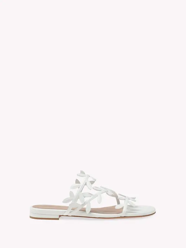 GIANVITO ROSSI Flavia 05 Flat Slides - White - Nappa
