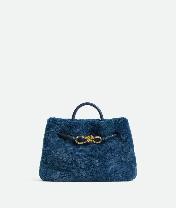 Bottega Veneta Small Andiamo Top Handle Bag