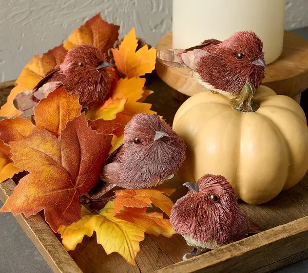 VALERIE PARR HILL As Is Set Of 8 Harvest Sisal Bird Clips Valerie