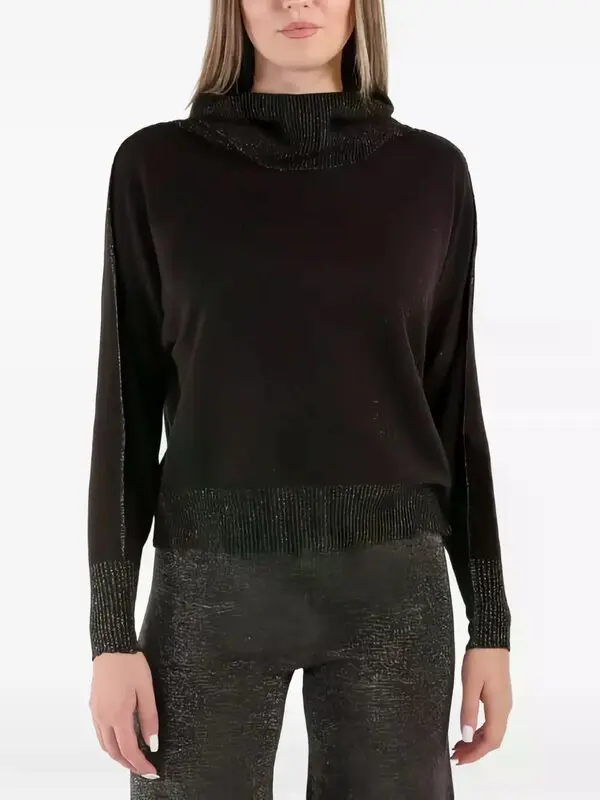 D.exterior Roll-neck Sweater