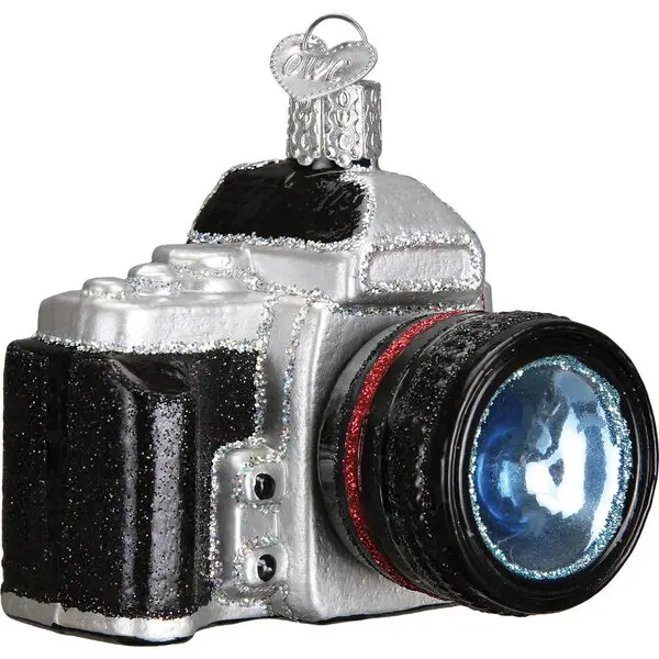 OLD WORLD CHRISTMAS Camera Glass Ornament