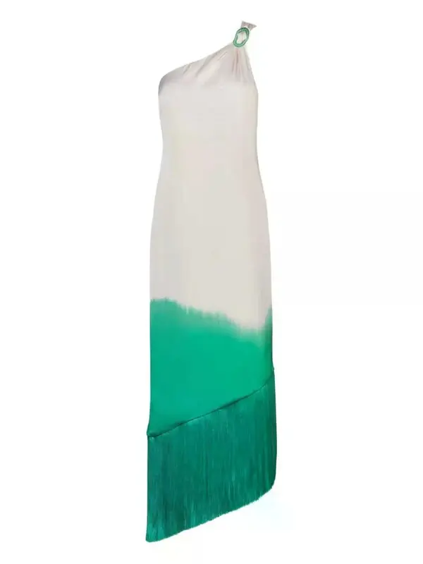 BAOBAB Amelia Fringed Asymmetric Dress