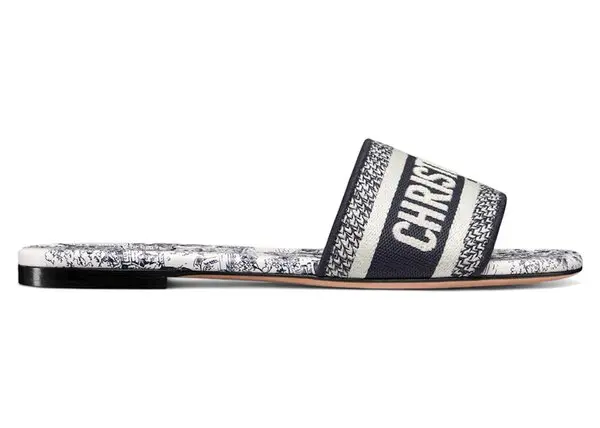 Dior Dway Slide Embroidered