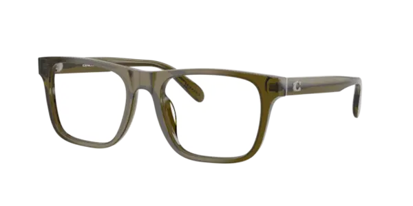 Coach Optical Glasses - Transparent Olive