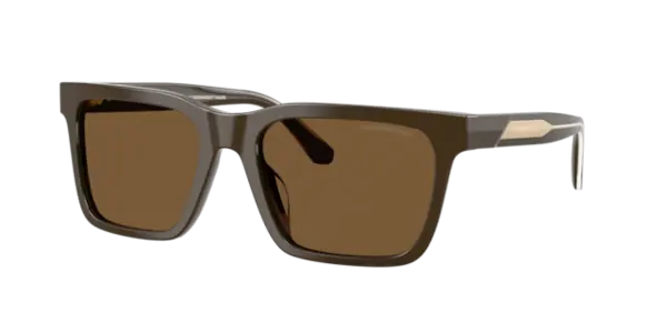 Emporio Armani Sunglasses - Shiny Brown