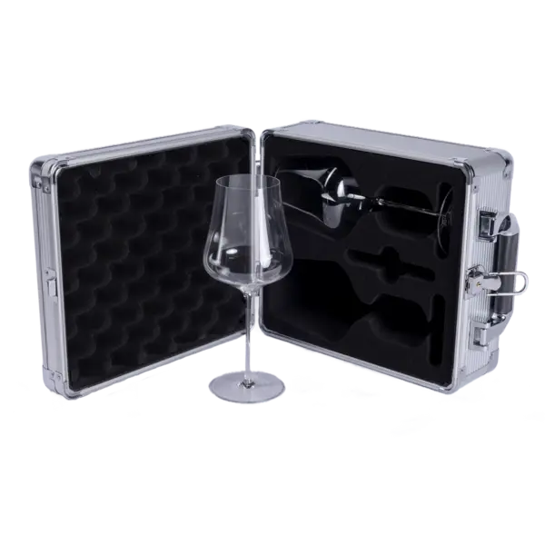 VINGARDEVALISE Vinglas 2-stem Wine Glass Case