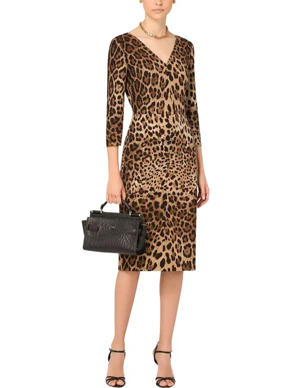 Dolce & Gabbana Leopard-print Midi Dress - Brown