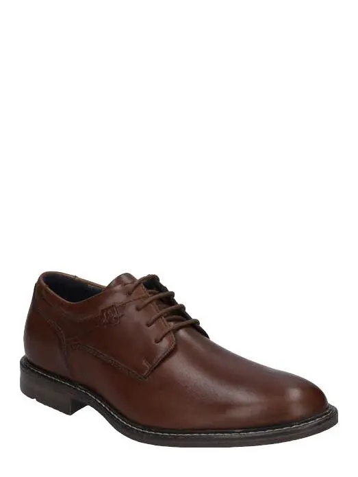 Josef Seibel Earl Plain Toe Derby - Cognac Arezzo