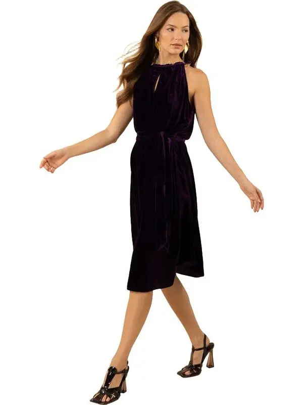 Hale Bob Meadow Velvet Halter Dress - Purple