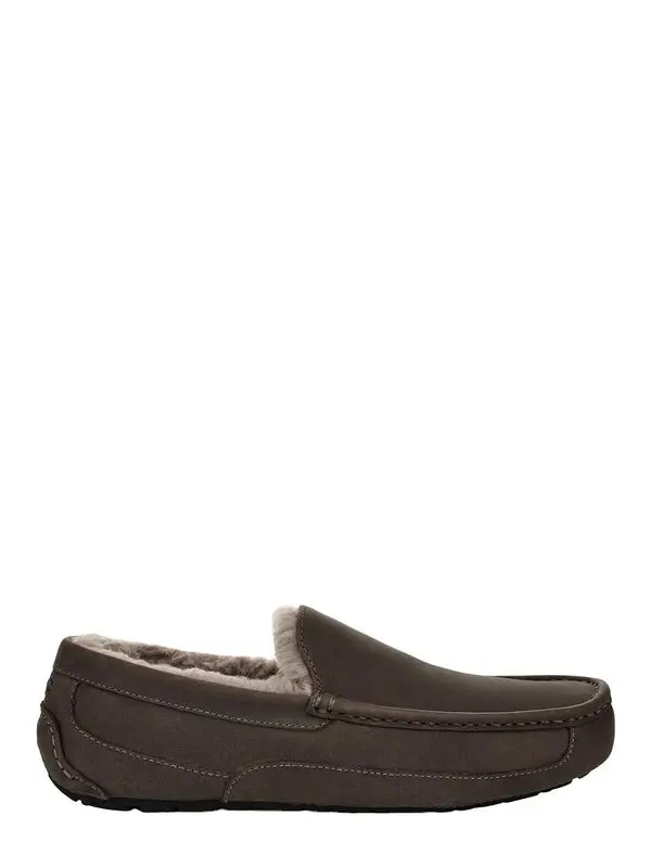 UGG Ascot Slipper - Thunder Cloud