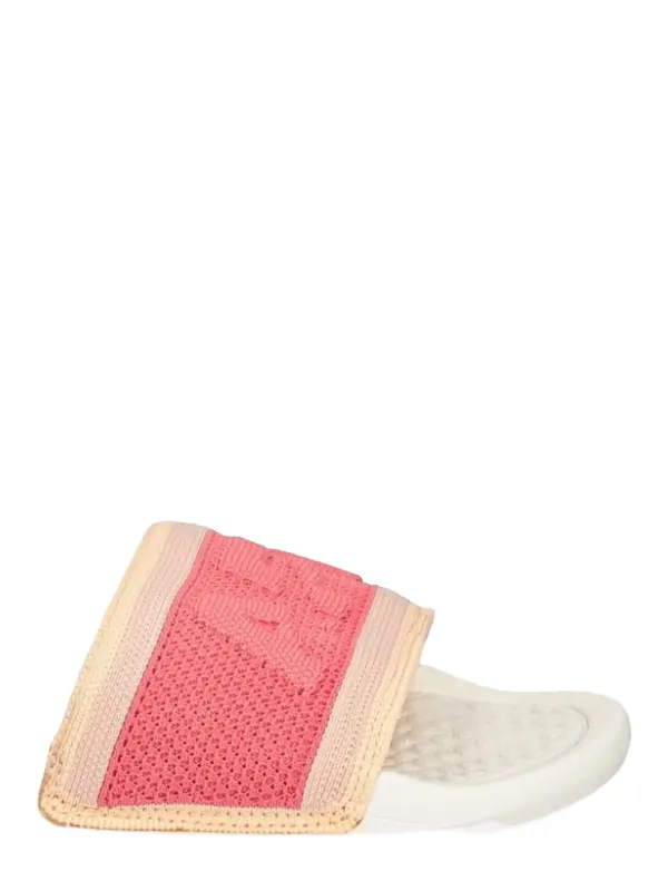 Apl Big Logo Techloom Slides - Pink