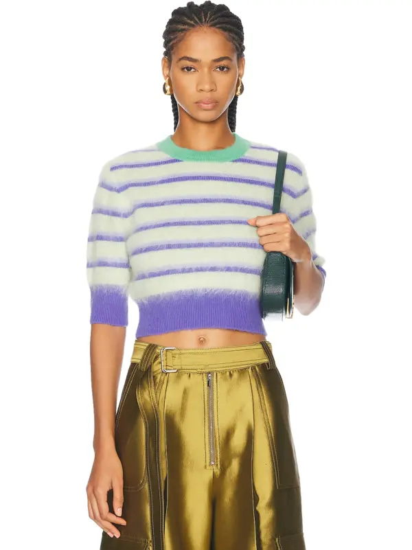 Christopher John Rogers Cropped Ringer Sweater - Nepeta Multi