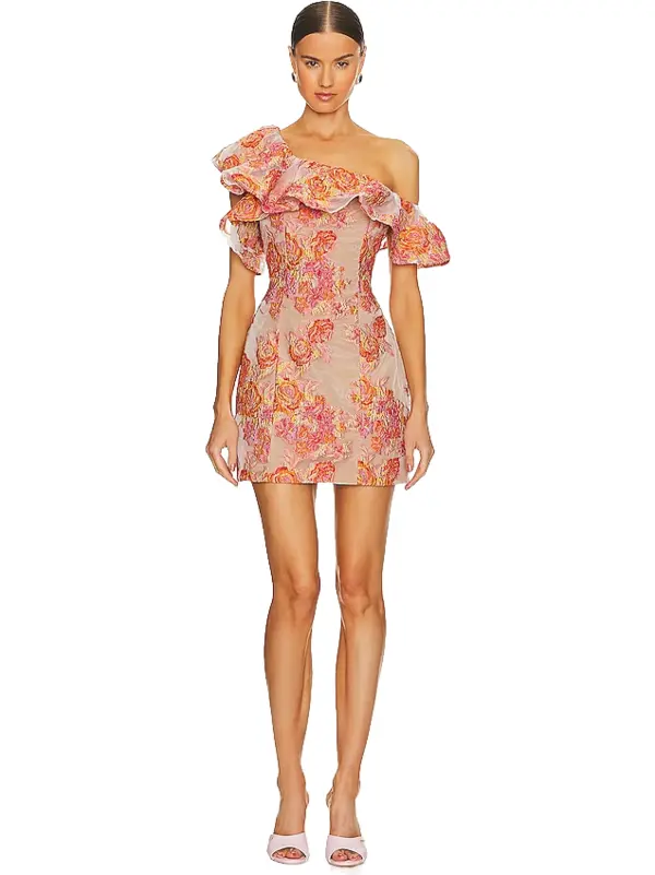 ELLIATT Enchantment Mini Dress - Multi