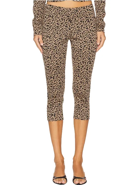 Lioness X Capri - Leopard