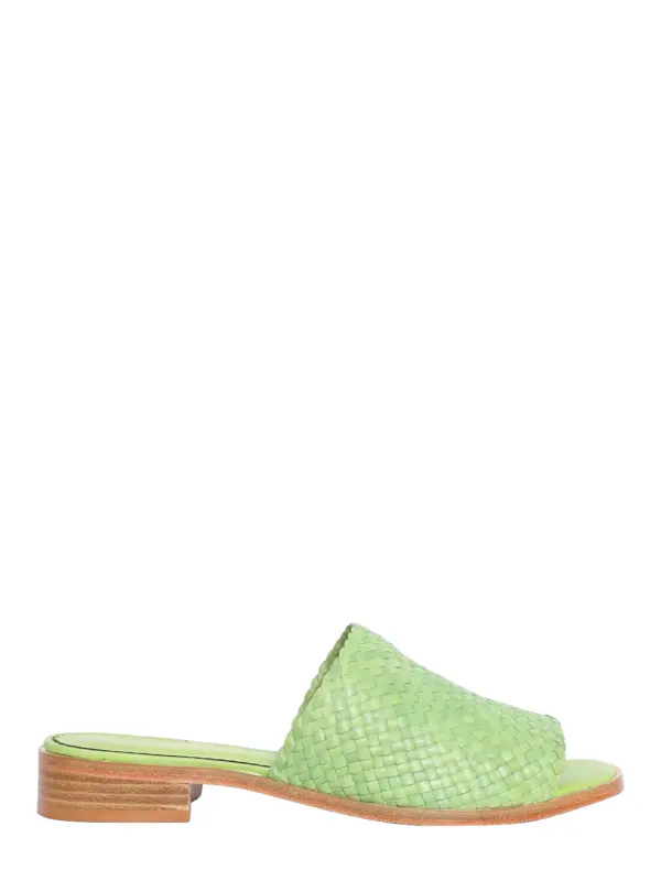 STUDIO CHOFAKIAN Trama Slides - Green