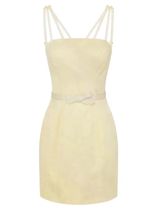 Elisabetta Franchi 3d Embroidered Dress - Yellow