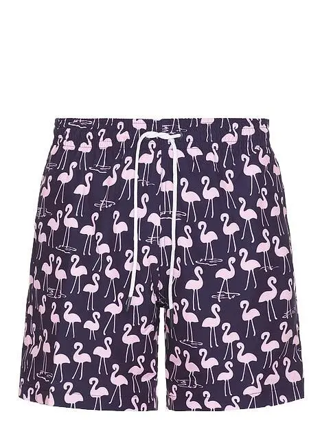 TRUNKS SURF & SWIM CO. Sano 6.5 Swim Short - Marine