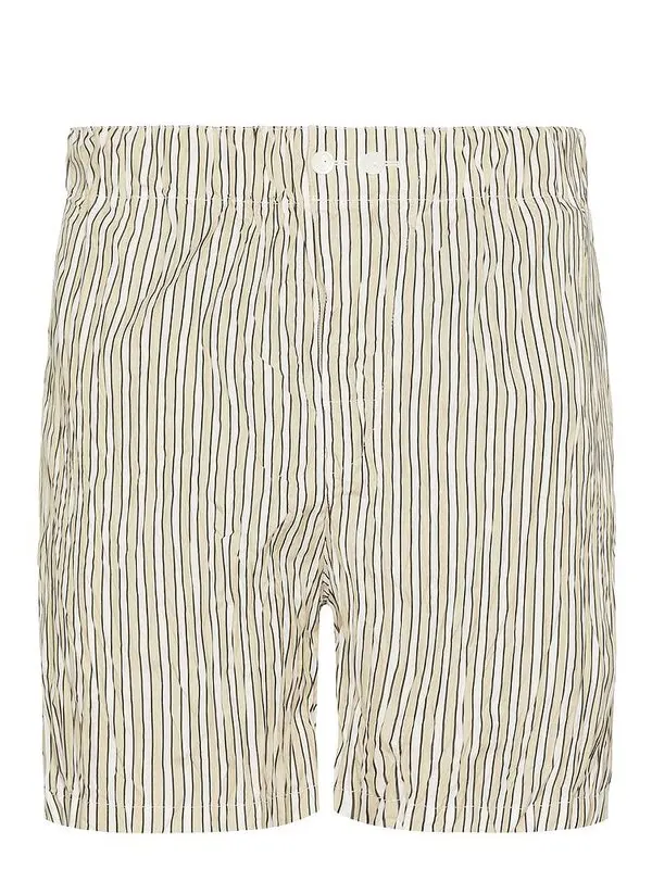 Bottega Veneta Crushed Tech Cotton Stripe Shorts - Beige  White  & Black