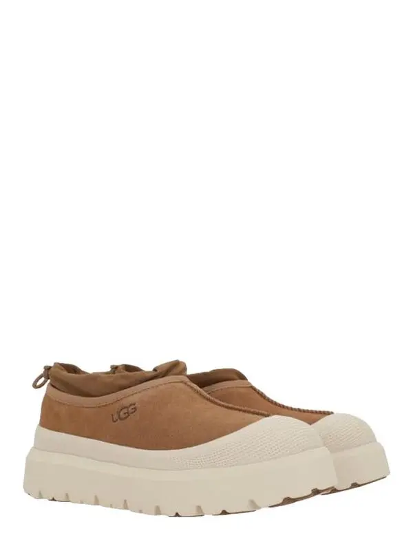 UGG Slipper - Chestnut+white