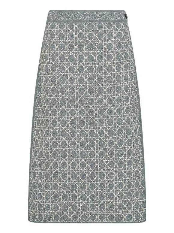 Dior Skirt - Grey