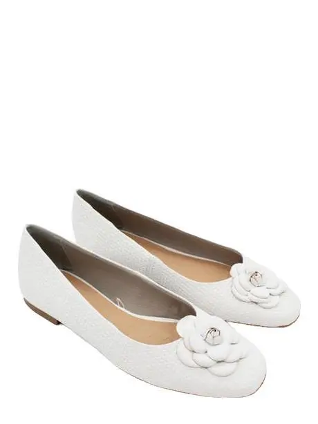 BOTTERO Botsamya Ballerina Flat - Bco / Bco
