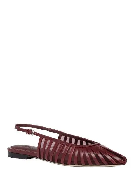 Paige Tera Pointed Toe Slingback Flat - Oxblood