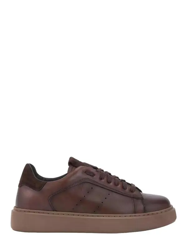 CALCE Perforated Leather Sneakers - Brown