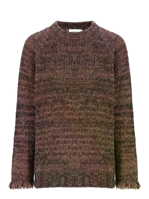 LANEUS Fringed Crew-neck Sweater - Brown