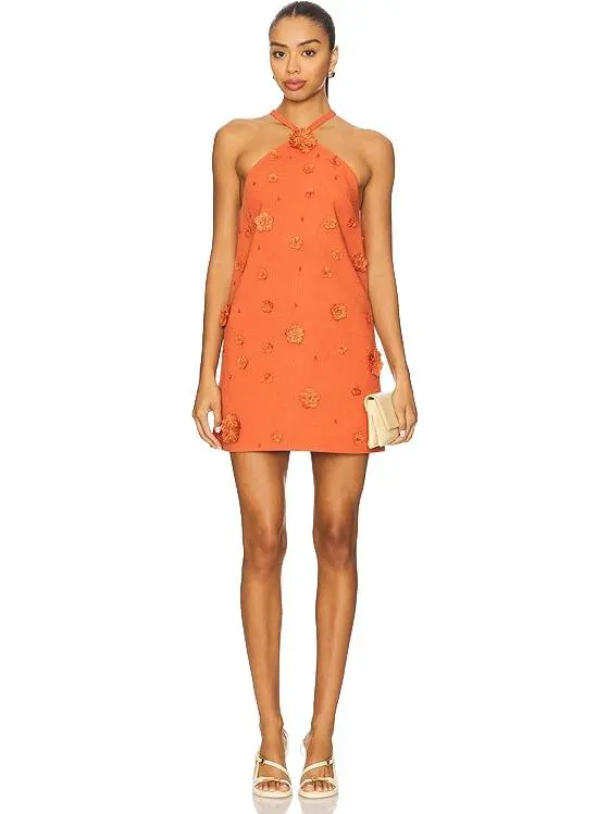 Alexis Milaa Dress - Terracotta Raffia